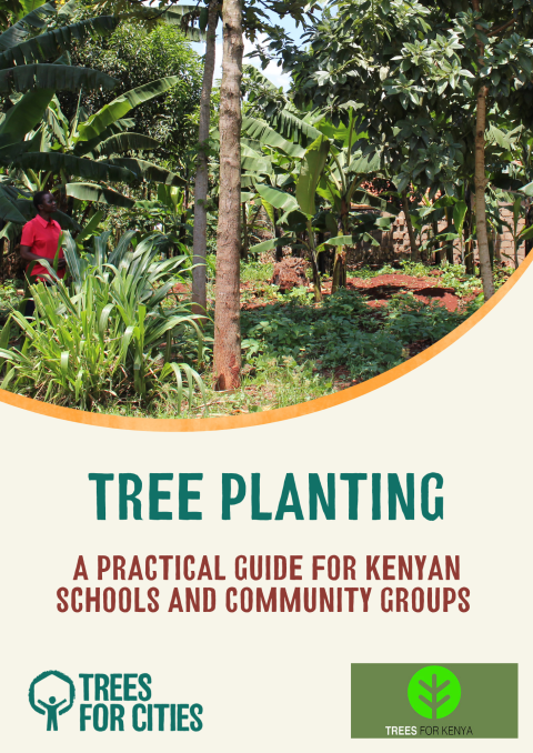 Tree Planting - a practical guide for Kenyan schools and community ...