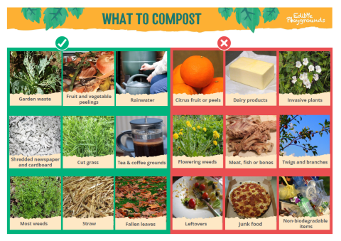 Composting Poster | Trees for Cities