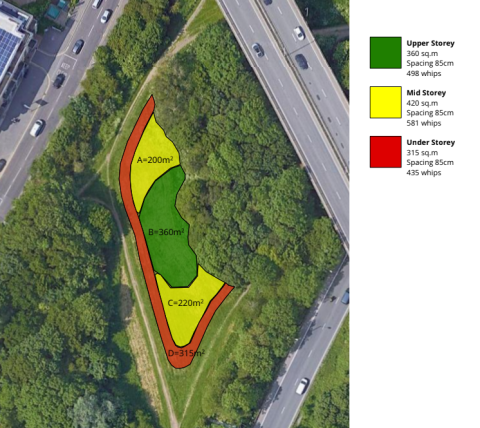 New Trees for Roding Valley Park | Trees for Cities