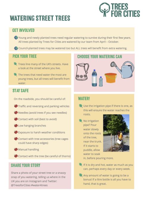 Will you be a tree watering champion? | Trees for Cities