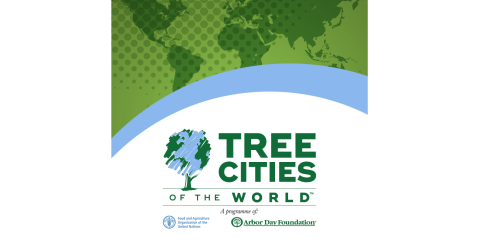 Tree Cities of the World | Trees for Cities