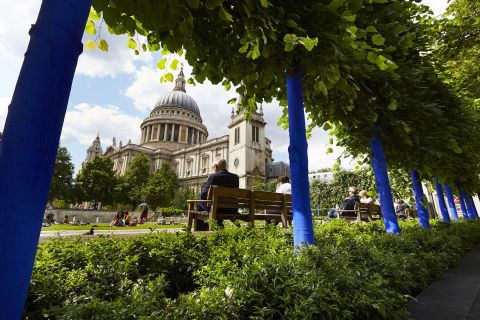 Our history | Trees for Cities