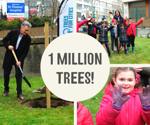 Our history | Trees for Cities