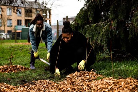 Our history | Trees for Cities