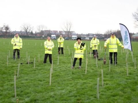 Trees bring real benefits to our cities, health and wellbeing. | Trees ...