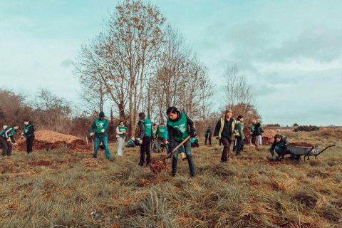 Tree Planting at Hillingdon Court Park | Trees for Cities