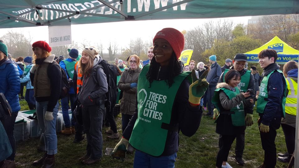 2 Million trees for urban communities | Trees for Cities