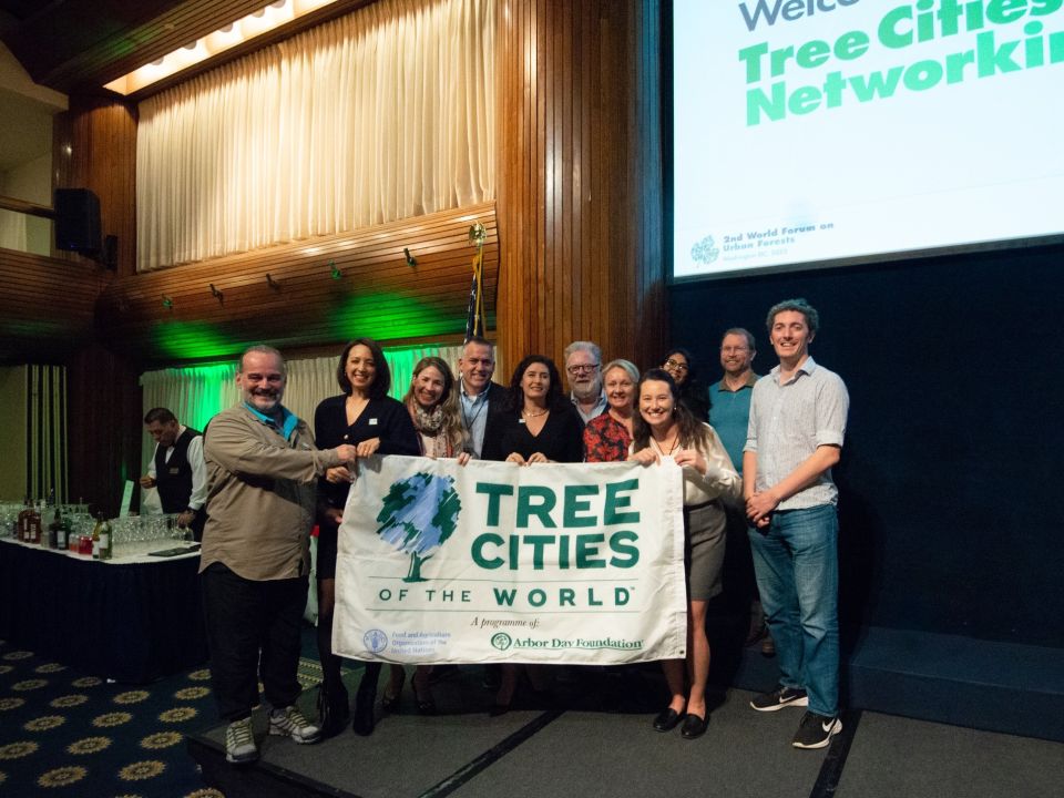 Stories | Trees for Cities