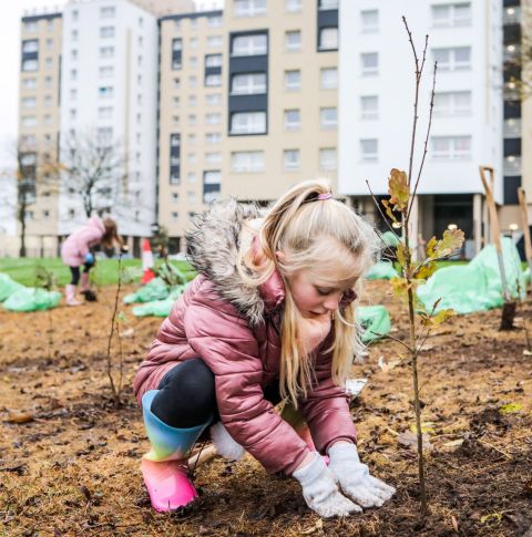 How the UK’s new Tree Equity Score map can be the basis for change ...