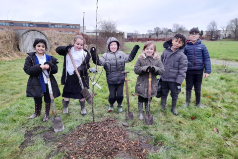 What is an urban forest? | Trees for Cities