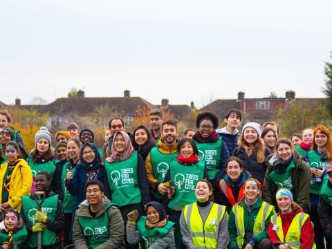 Celebrate urban trees: National Tree Week 2024 | Trees for Cities