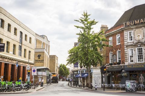 5 top urban street trees we plant | Trees for Cities