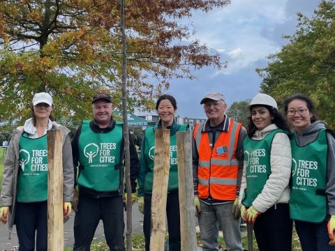 Trees for Cities' Charity Impact | Trees for Cities