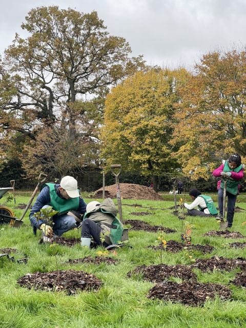 Tree Planting at Ravenor Park | Trees for Cities