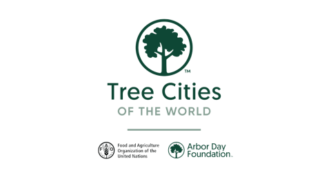 Tree Cities of the World | Trees for Cities