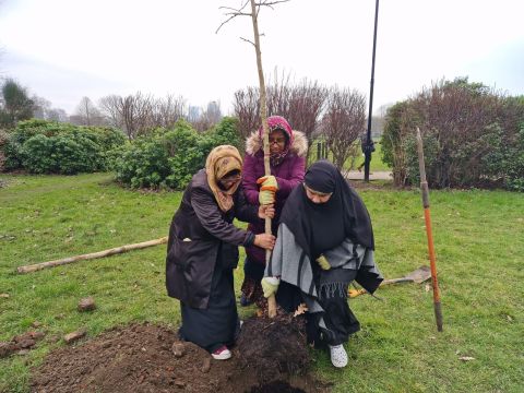 New Trees for Stepney Green Park and Belgrave Open Space | Trees for Cities