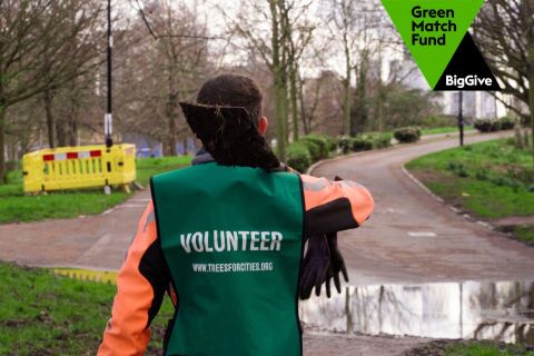 Double your impact | Donate to plant urban trees for a sustainable ...