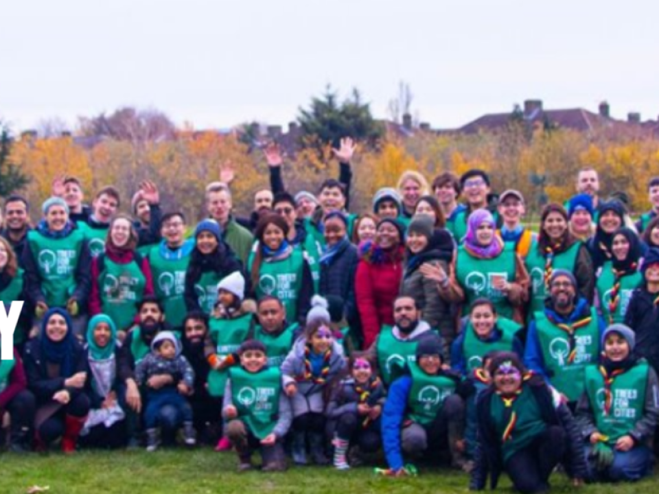 Stories | Trees for Cities