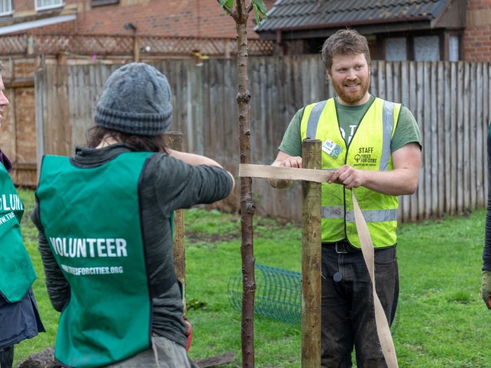 Volunteer | Trees for Cities